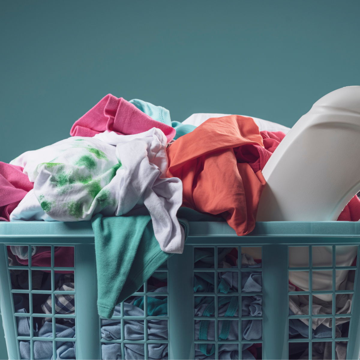 13 Smart Ways to Create a Green Home