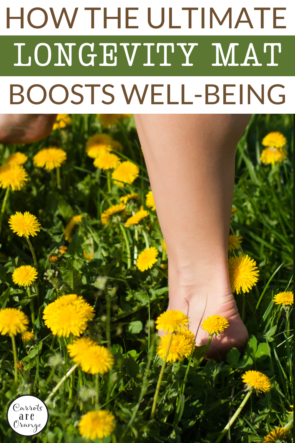 How the Ultimate Longevity Grounding Mat Boosts Well-Being