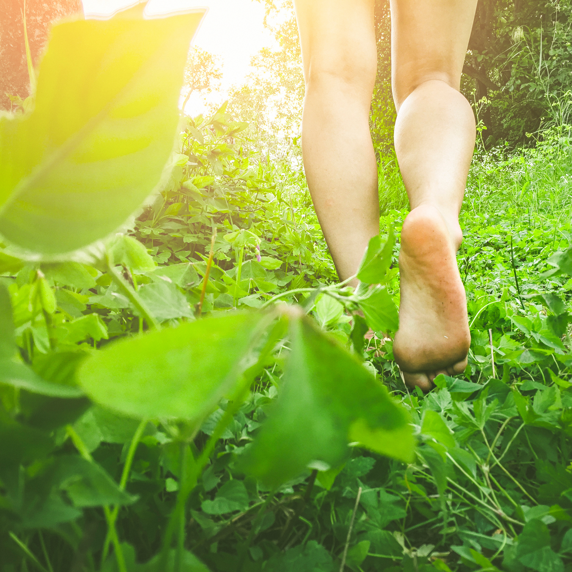 How the Ultimate Longevity Grounding Mat Boosts Well-Being